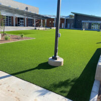 About Us | Synthetic Grass Warehouse