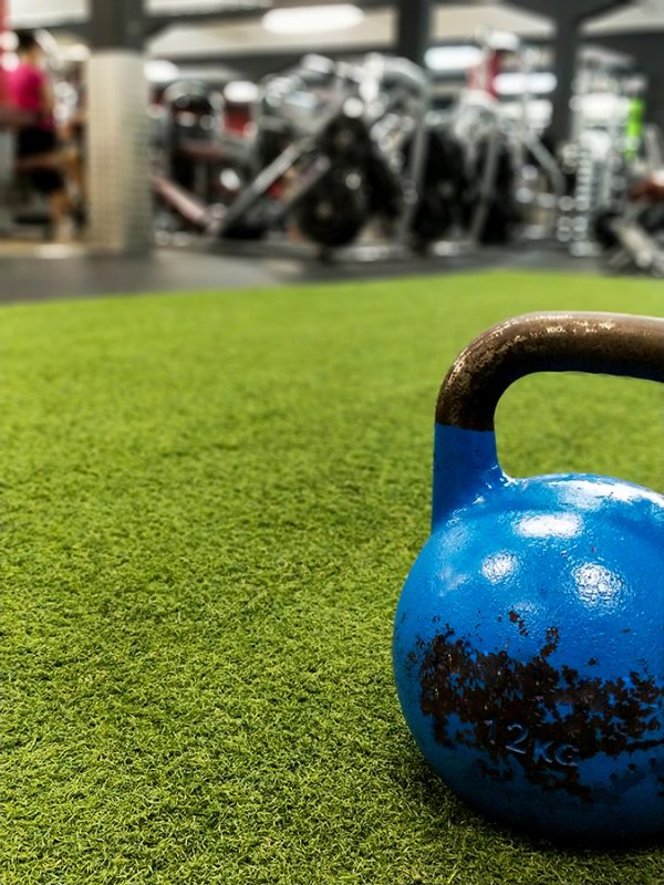 Artificial Turf | Gym & Fitness Systems | Synthetic Grass Warehouse