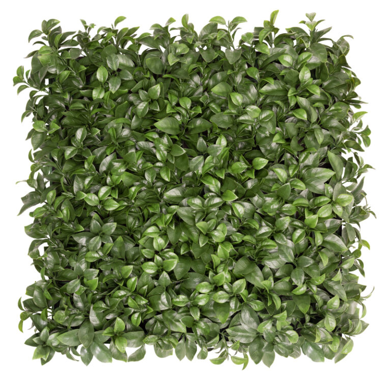 Product Spotlight: Ficus Hedge (Emerald Artificial Greenery ...